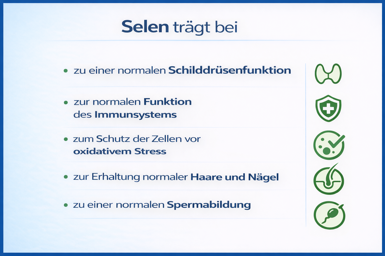 Selen Wirkung erklärt: Rolle, Tagesbedarf & Selen Mangel